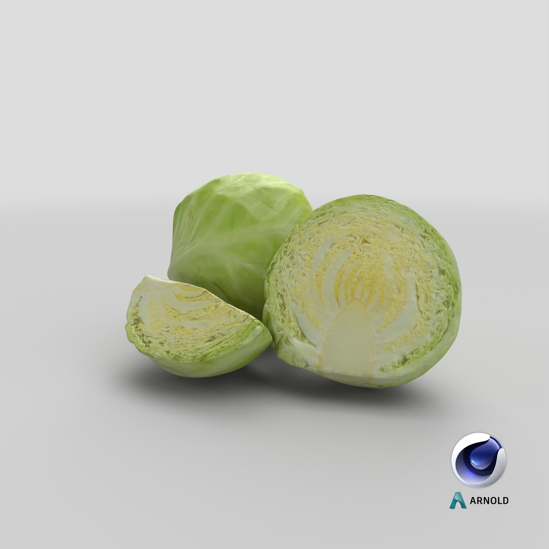 3D Cabbage model - TurboSquid 1861747