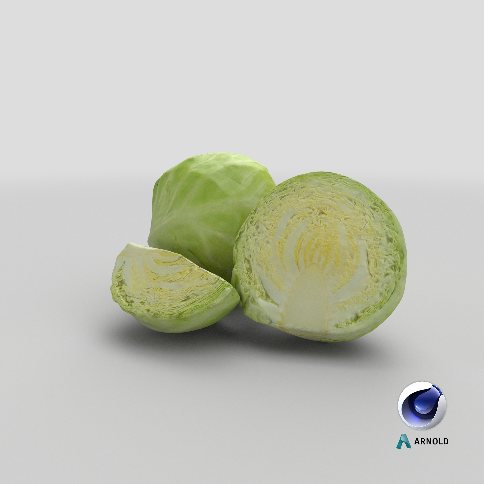 3D Cabbage model - TurboSquid 1861747