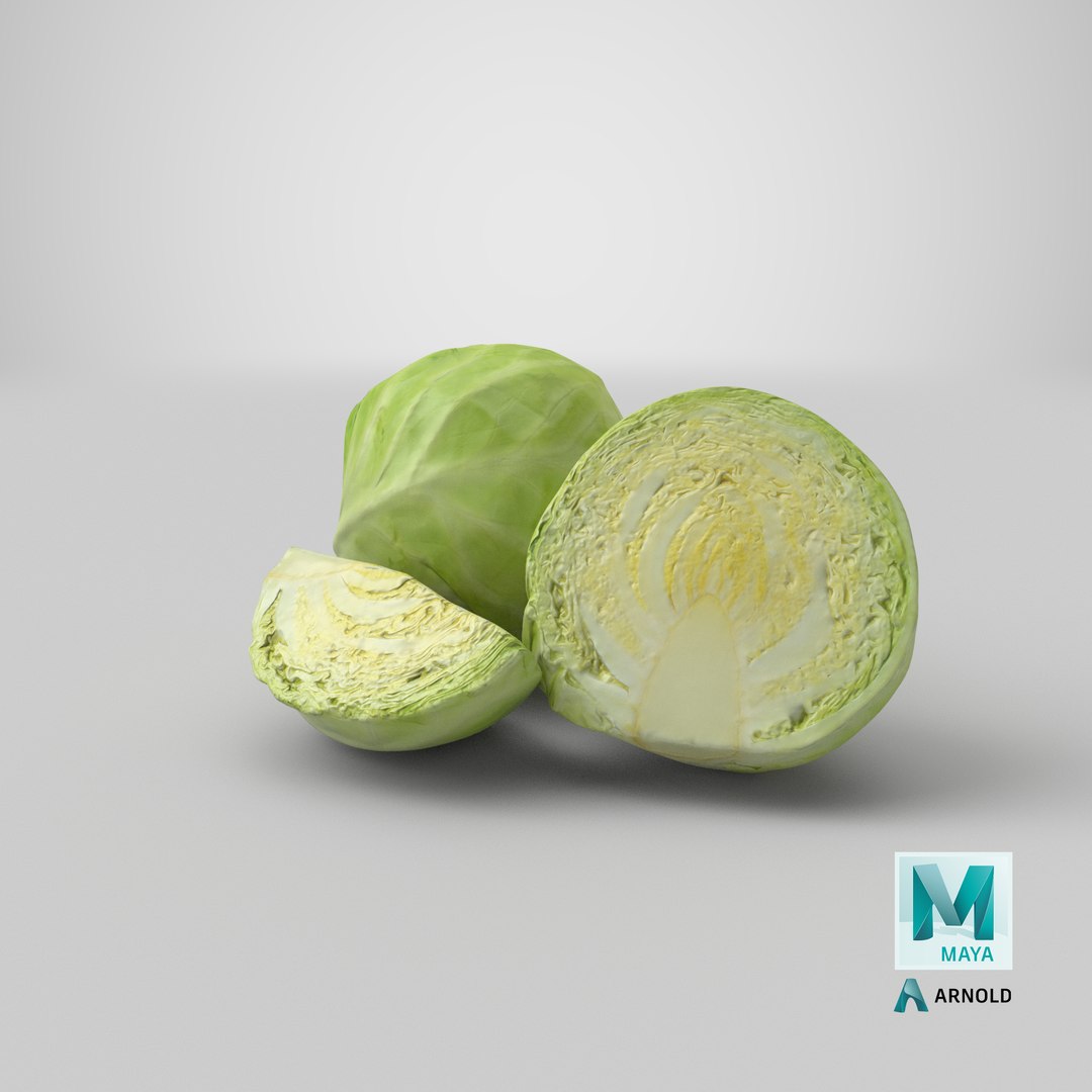 3D Cabbage model - TurboSquid 1861747