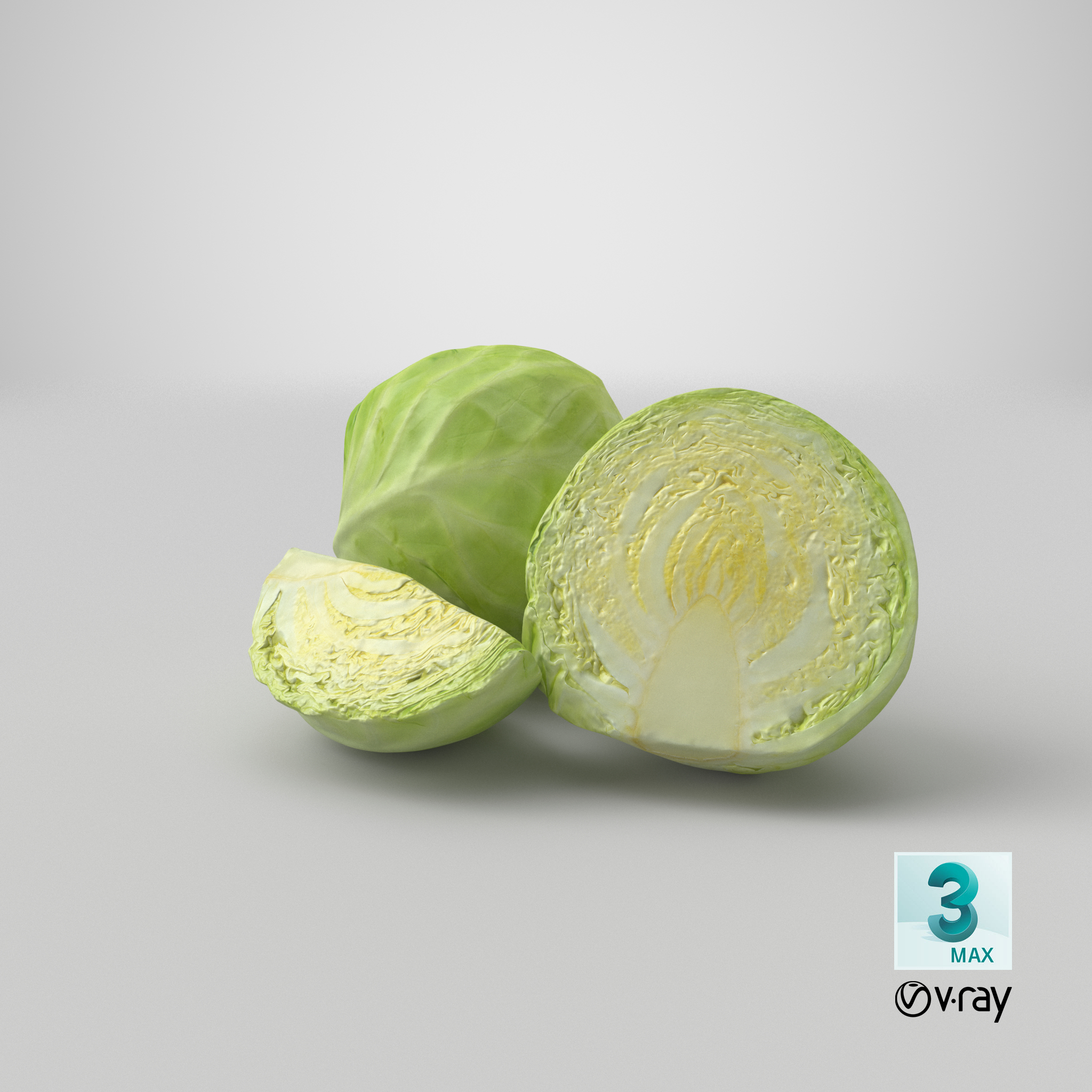 3D Cabbage model - TurboSquid 1861747