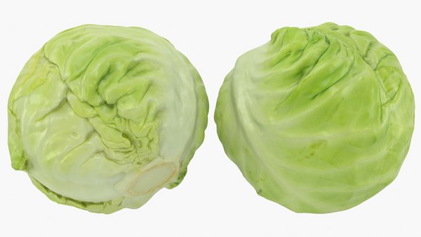 3D Cabbage model - TurboSquid 1861747