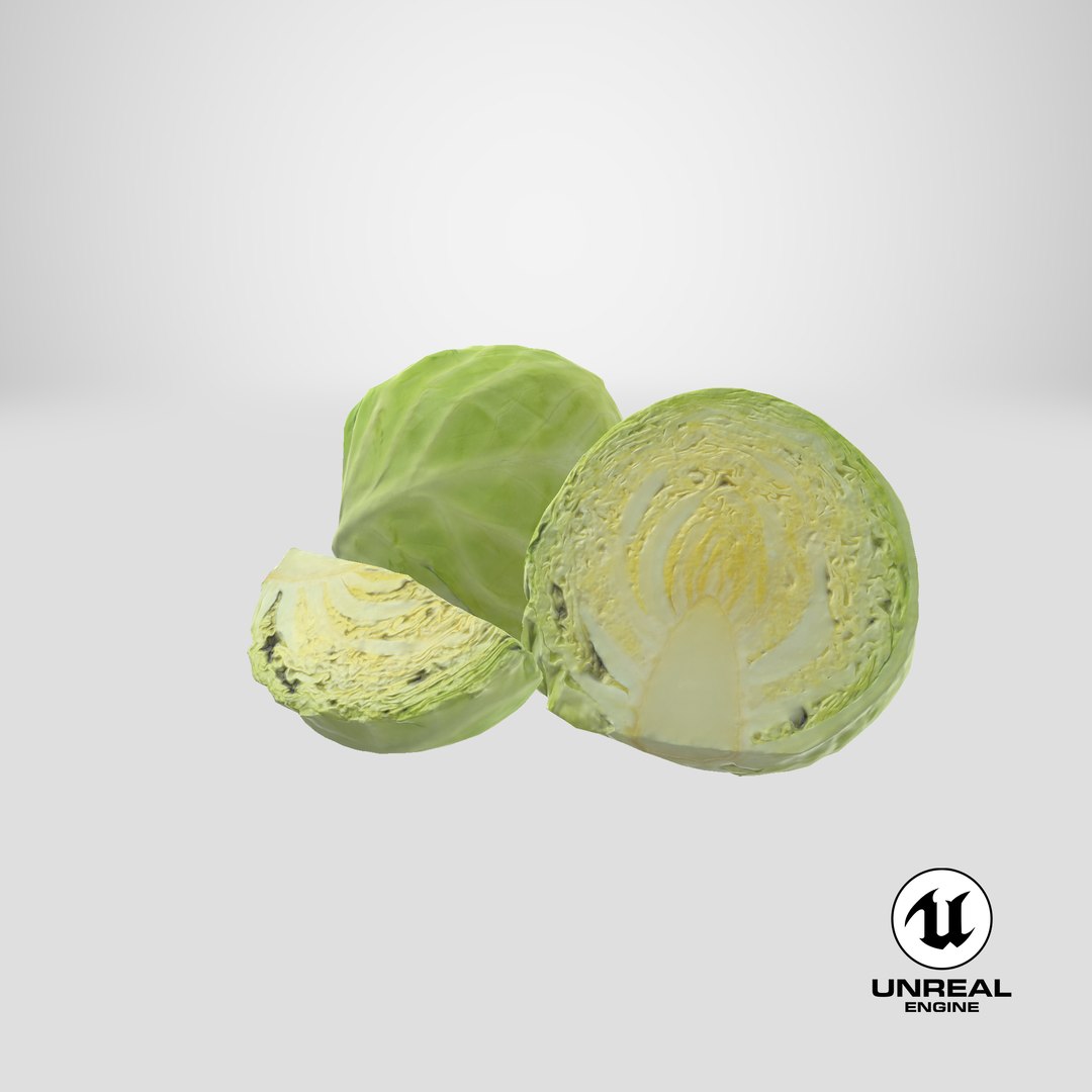 3D Cabbage model - TurboSquid 1861747