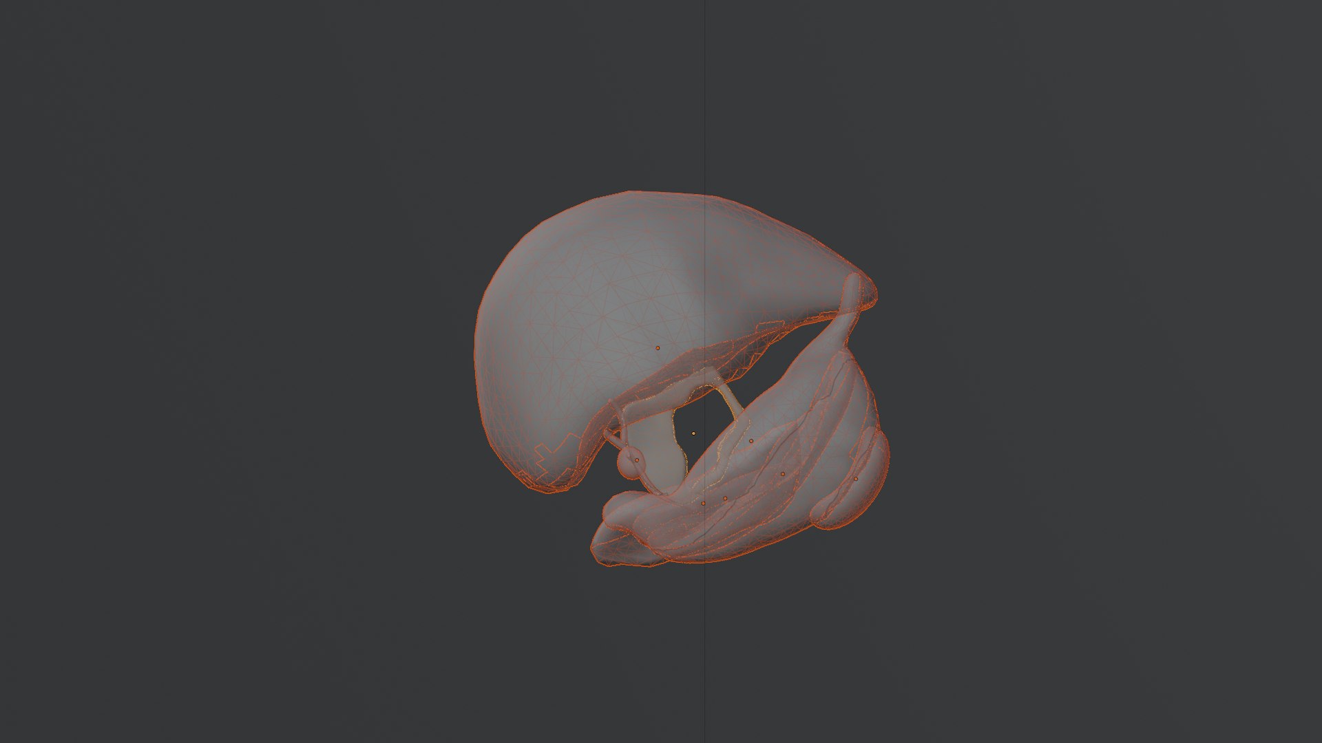 3D Anatomical 3D Model Of Human Liver Gallbladder Pancreas And Duodenum ...