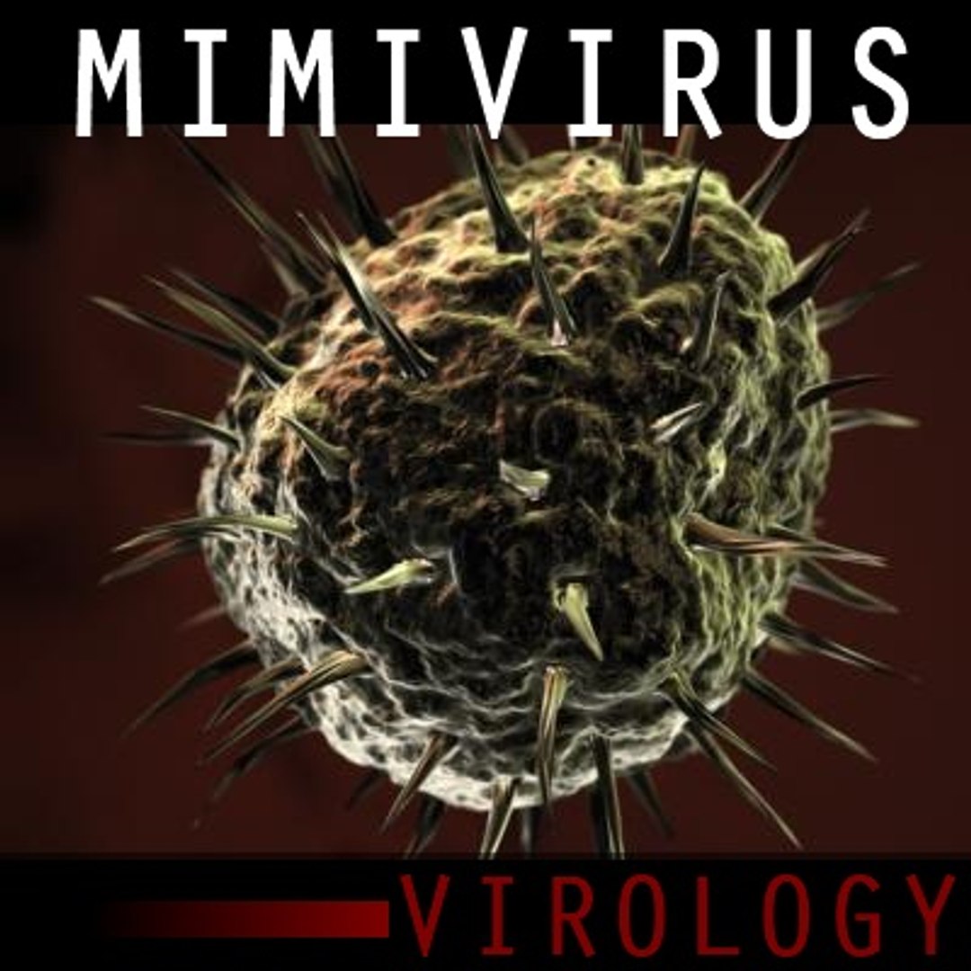 3d Model Of Mimivirus Virus
