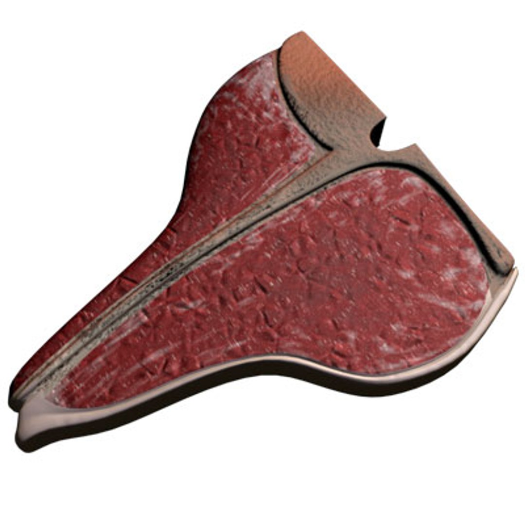 Max Barbecue Meat Selection