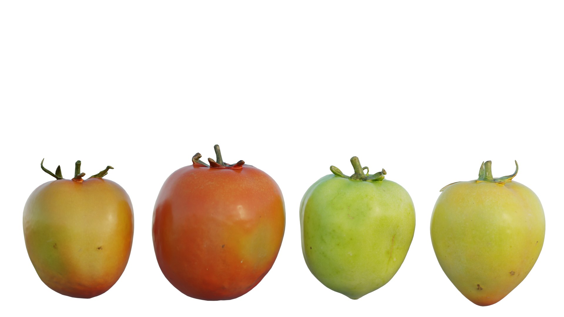 3D Tomato 03 Model - TurboSquid 1946209