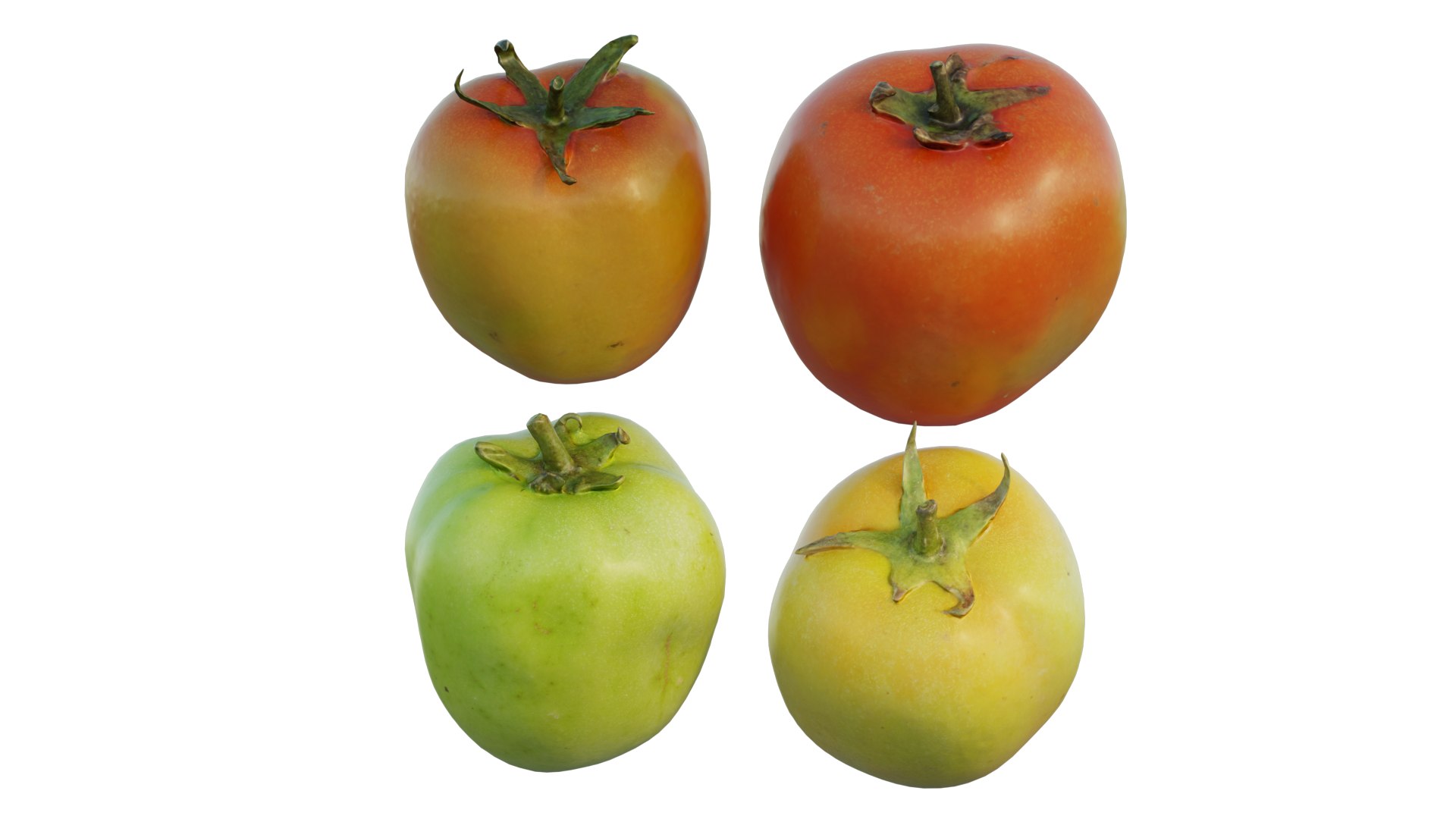 3D Tomato 03 Model - TurboSquid 1946209