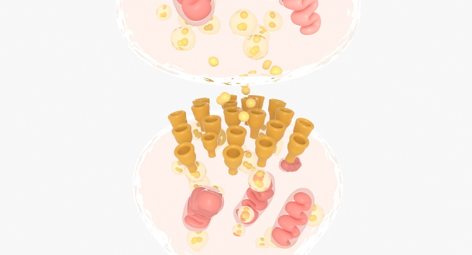 3D Synapse Neurotransmitter Model - TurboSquid 1367401