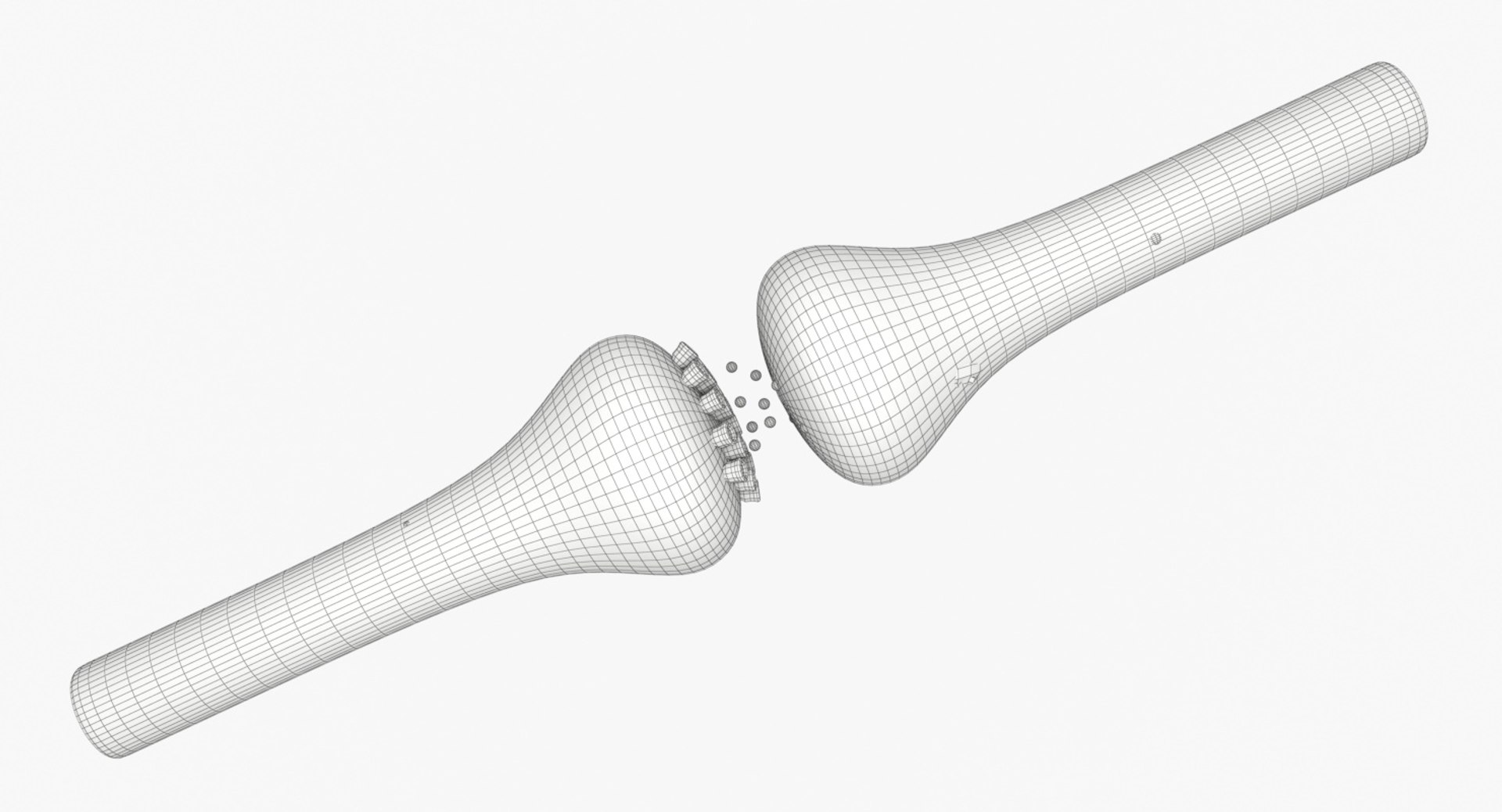 3D Synapse Neurotransmitter Model - TurboSquid 1367401