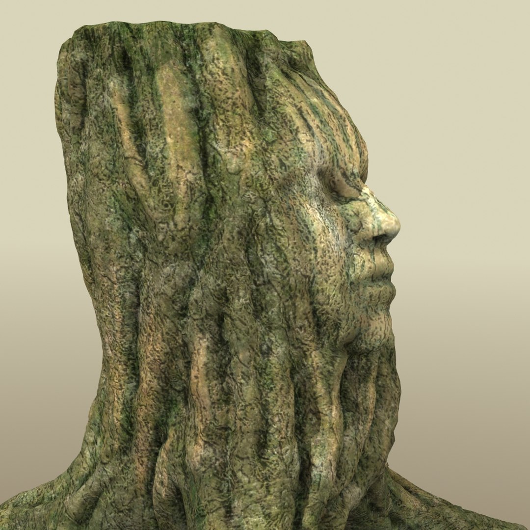 3d Human Face Relief Tree Stump Model