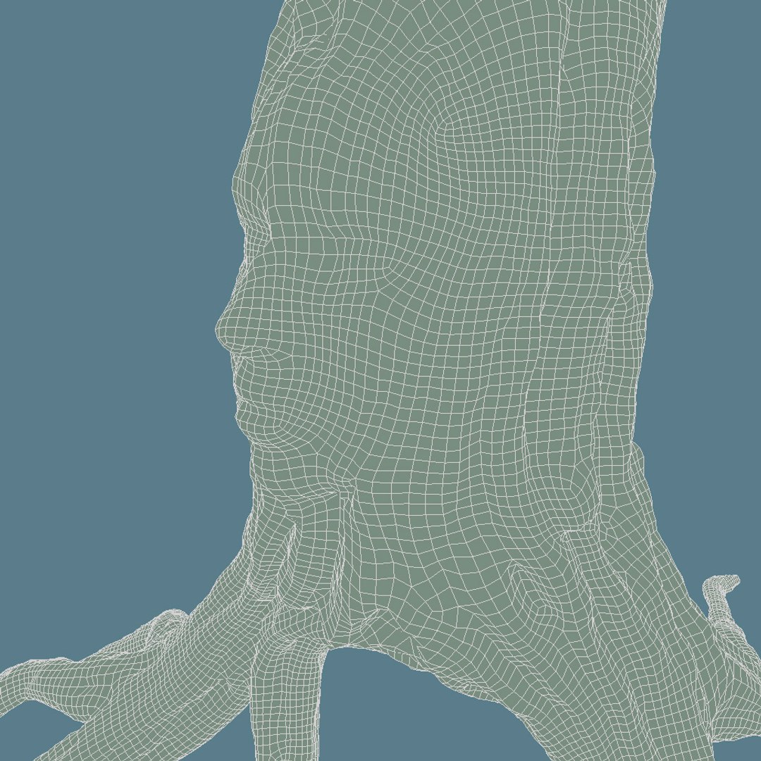 3d Human Face Relief Tree Stump Model