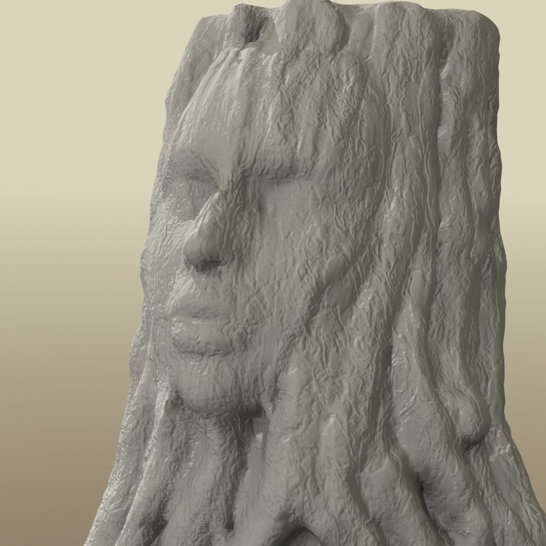 3d Human Face Relief Tree Stump Model