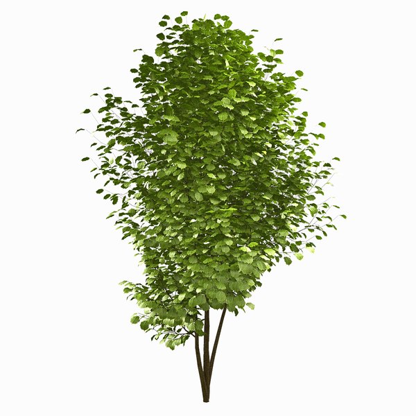 tree environment 3d fbx