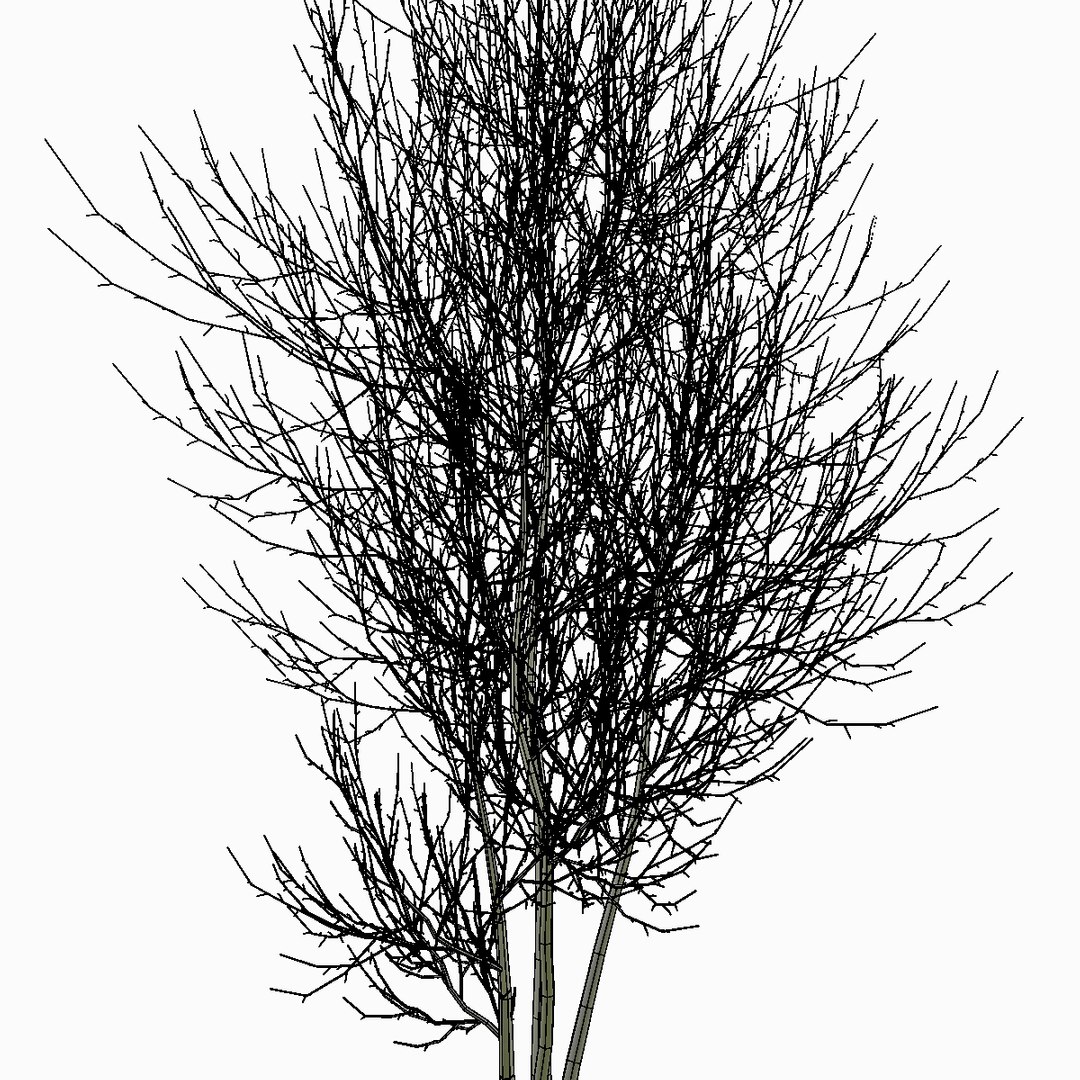Tree Environment 3d Fbx