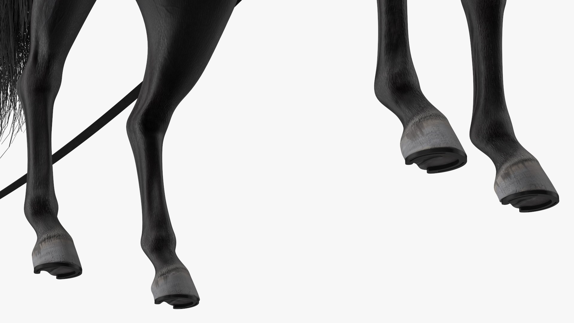 3D Black Horse Single Driving Harness - TurboSquid 2366115