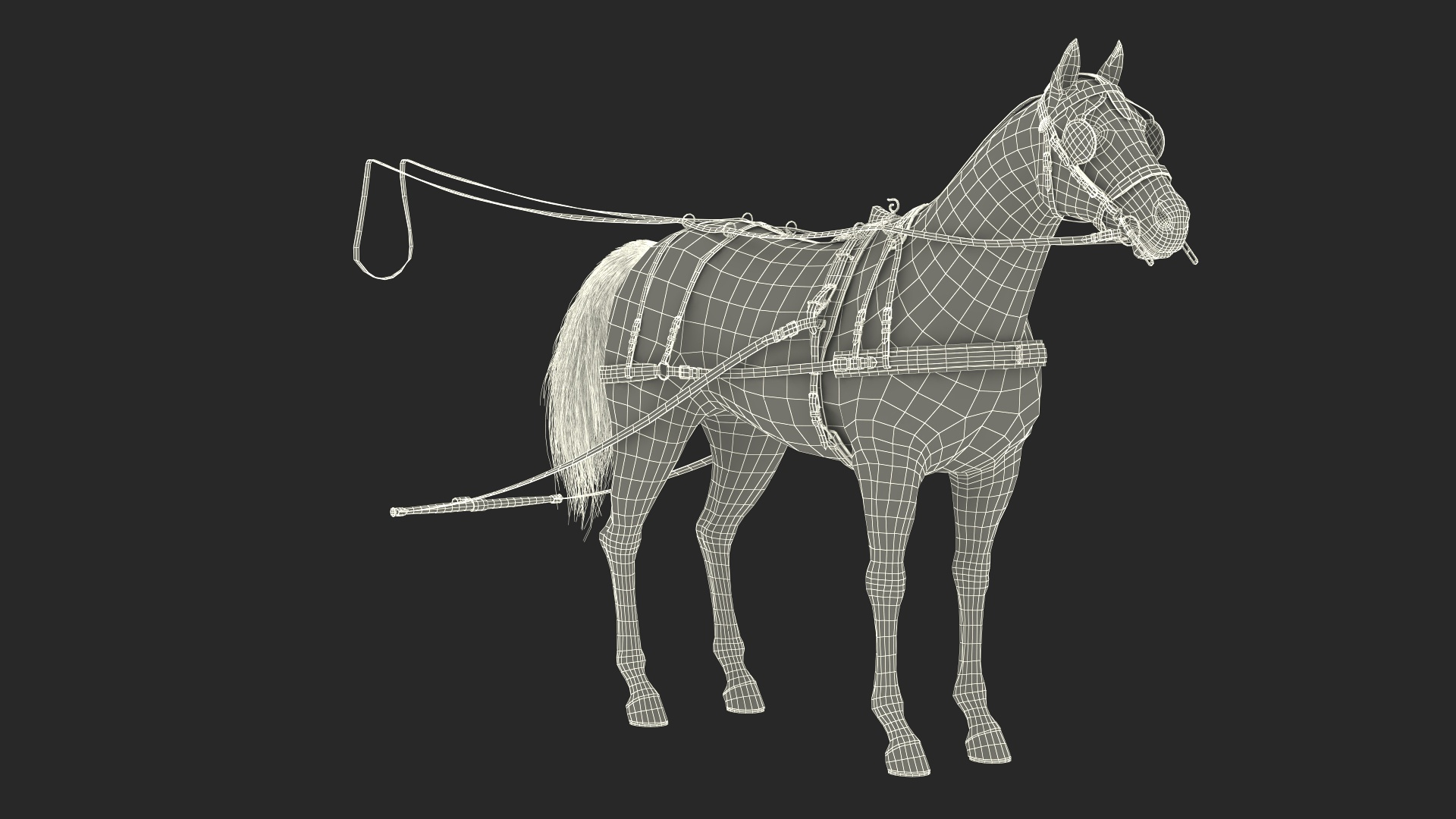 3D Black Horse Single Driving Harness - TurboSquid 2366115