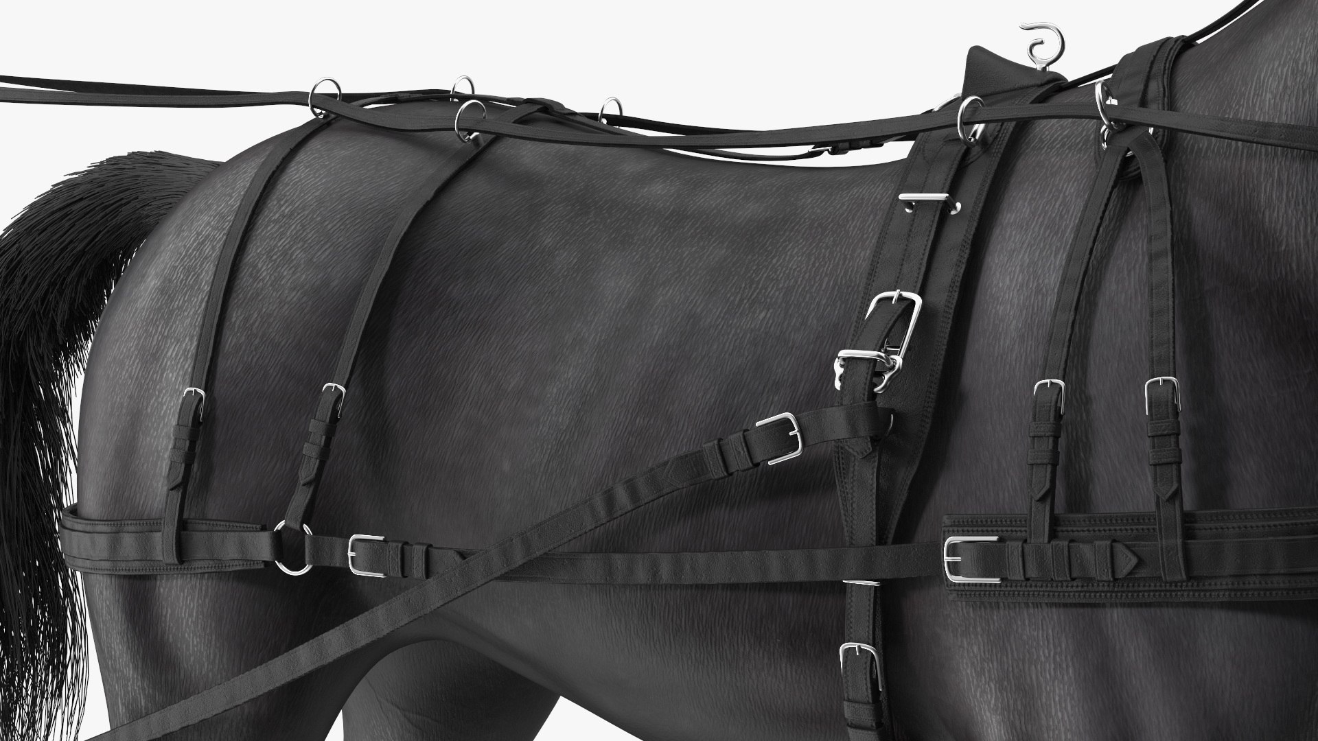 3D Black Horse Single Driving Harness - TurboSquid 2366115