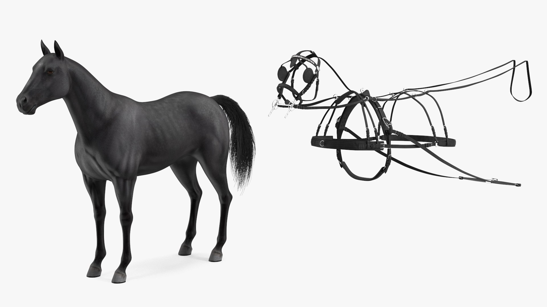 3D Black Horse Single Driving Harness - TurboSquid 2366115