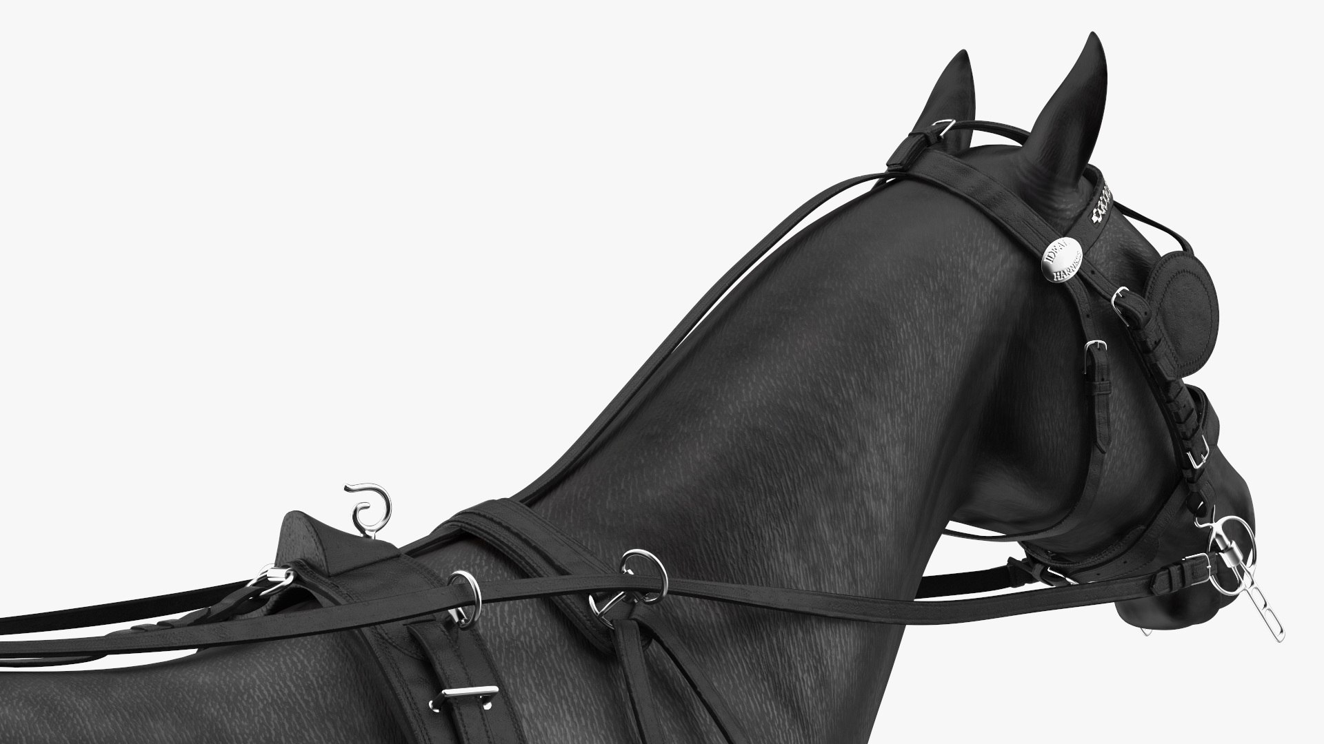 3D Black Horse Single Driving Harness - TurboSquid 2366115
