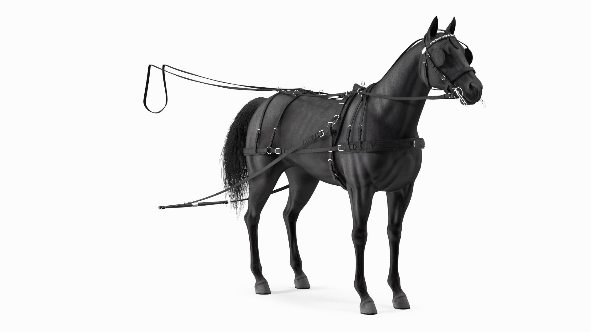 3D Black Horse Single Driving Harness - TurboSquid 2366115