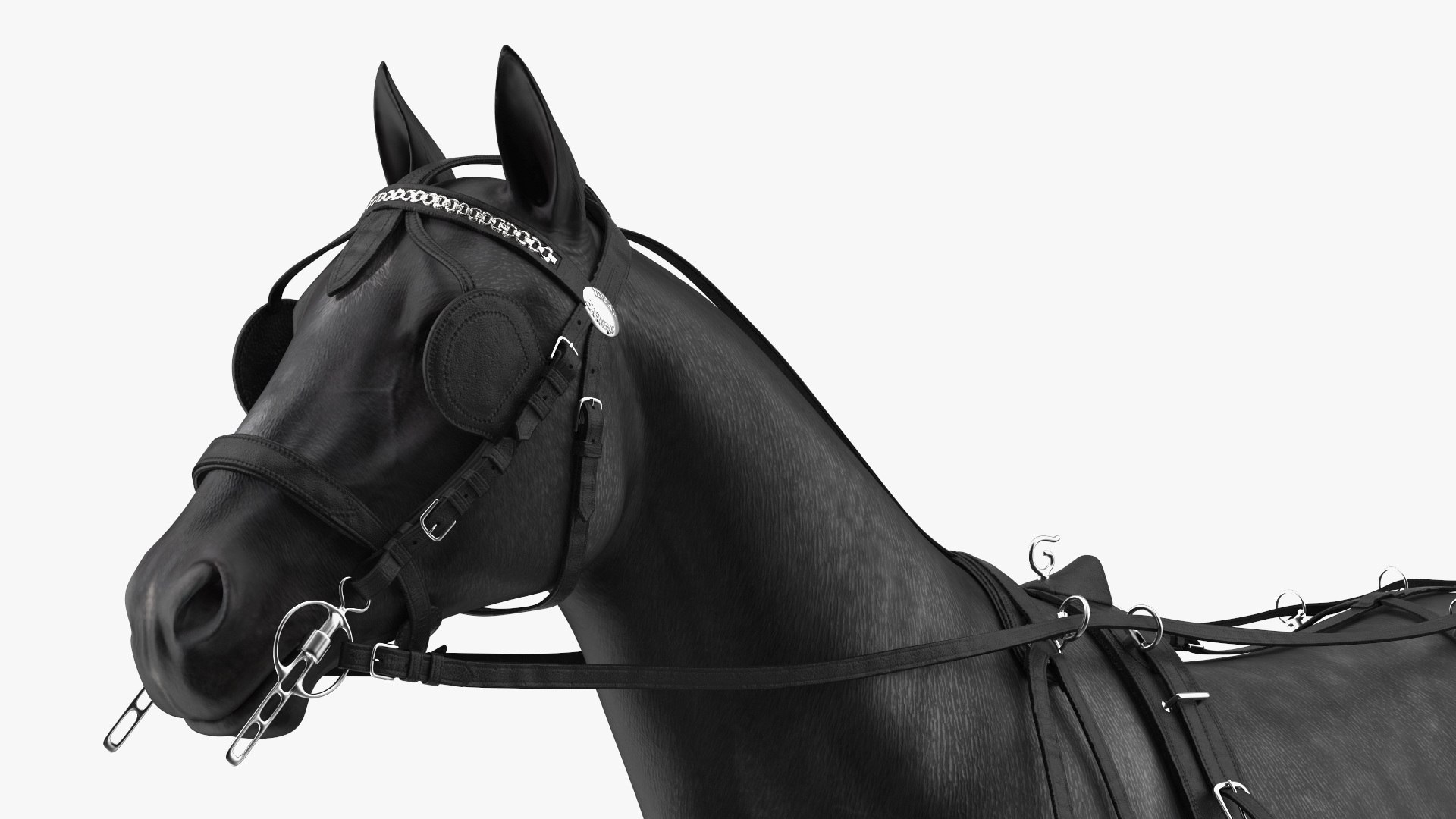 3D Black Horse Single Driving Harness - TurboSquid 2366115