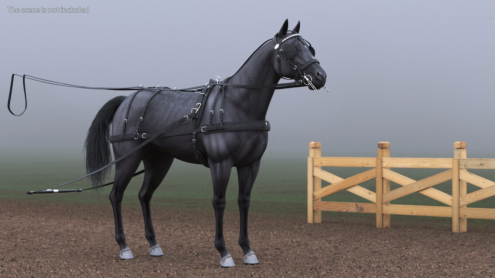 3D Black Horse Single Driving Harness - TurboSquid 2366115