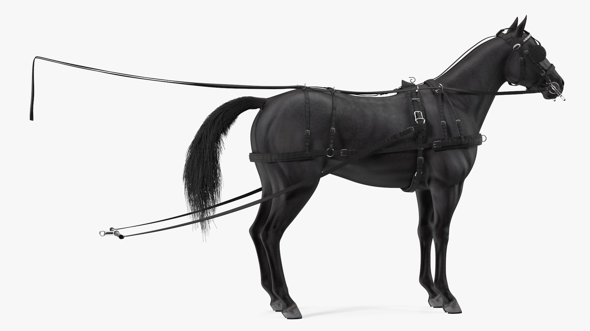 3D Black Horse Single Driving Harness - TurboSquid 2366115