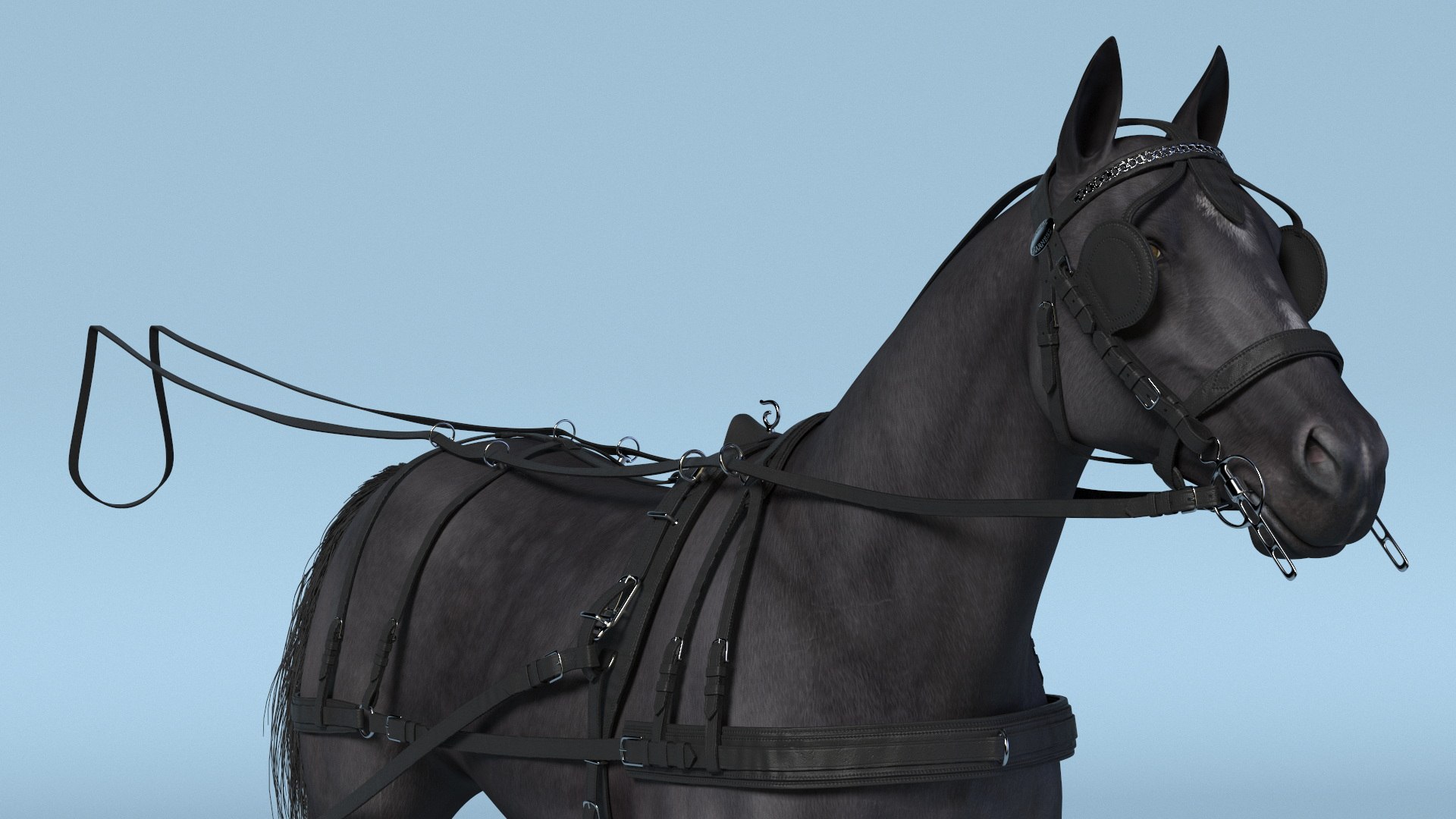 3D Black Horse Single Driving Harness - TurboSquid 2366115