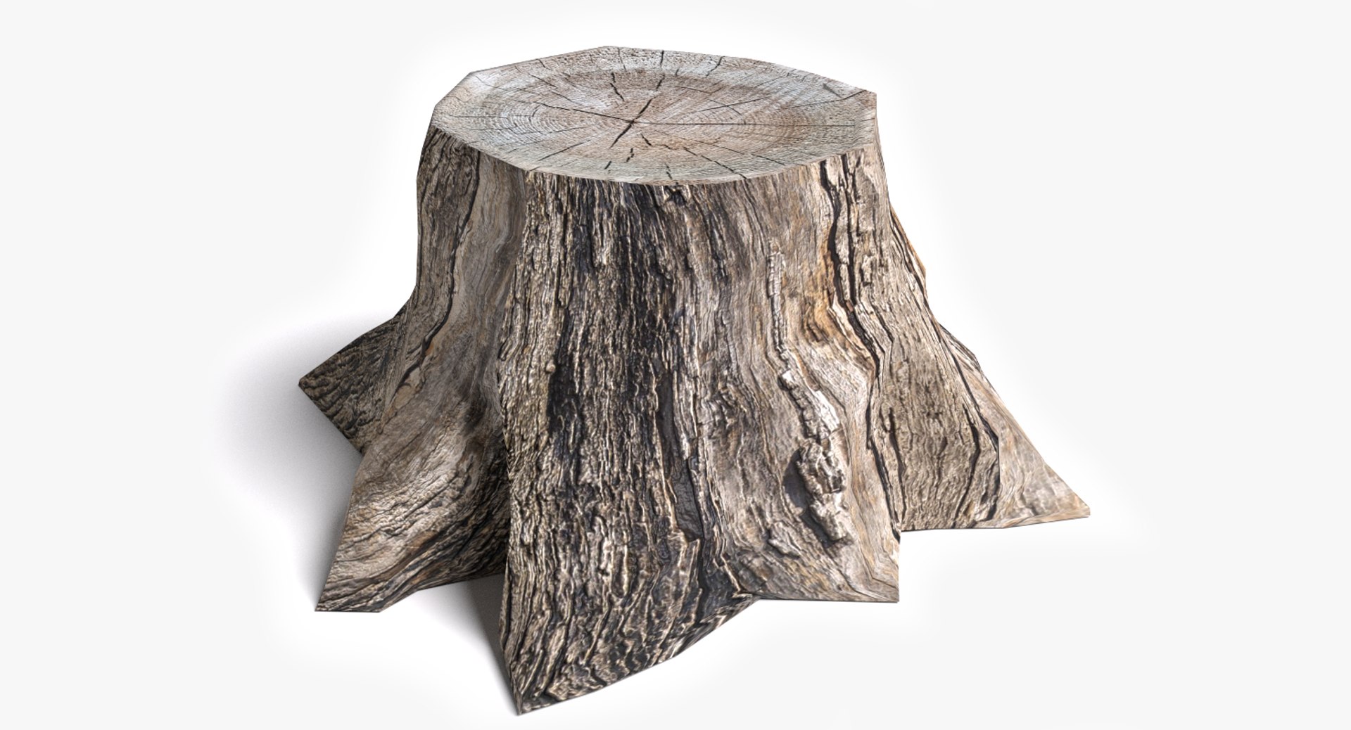 Dead Tree Stump 3d Model