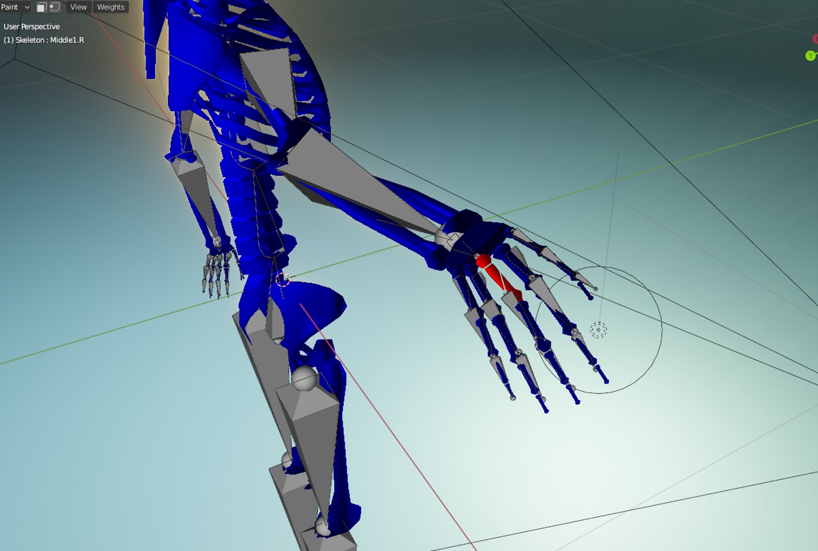 Skeleton Rigged 3D Model - TurboSquid 1589539