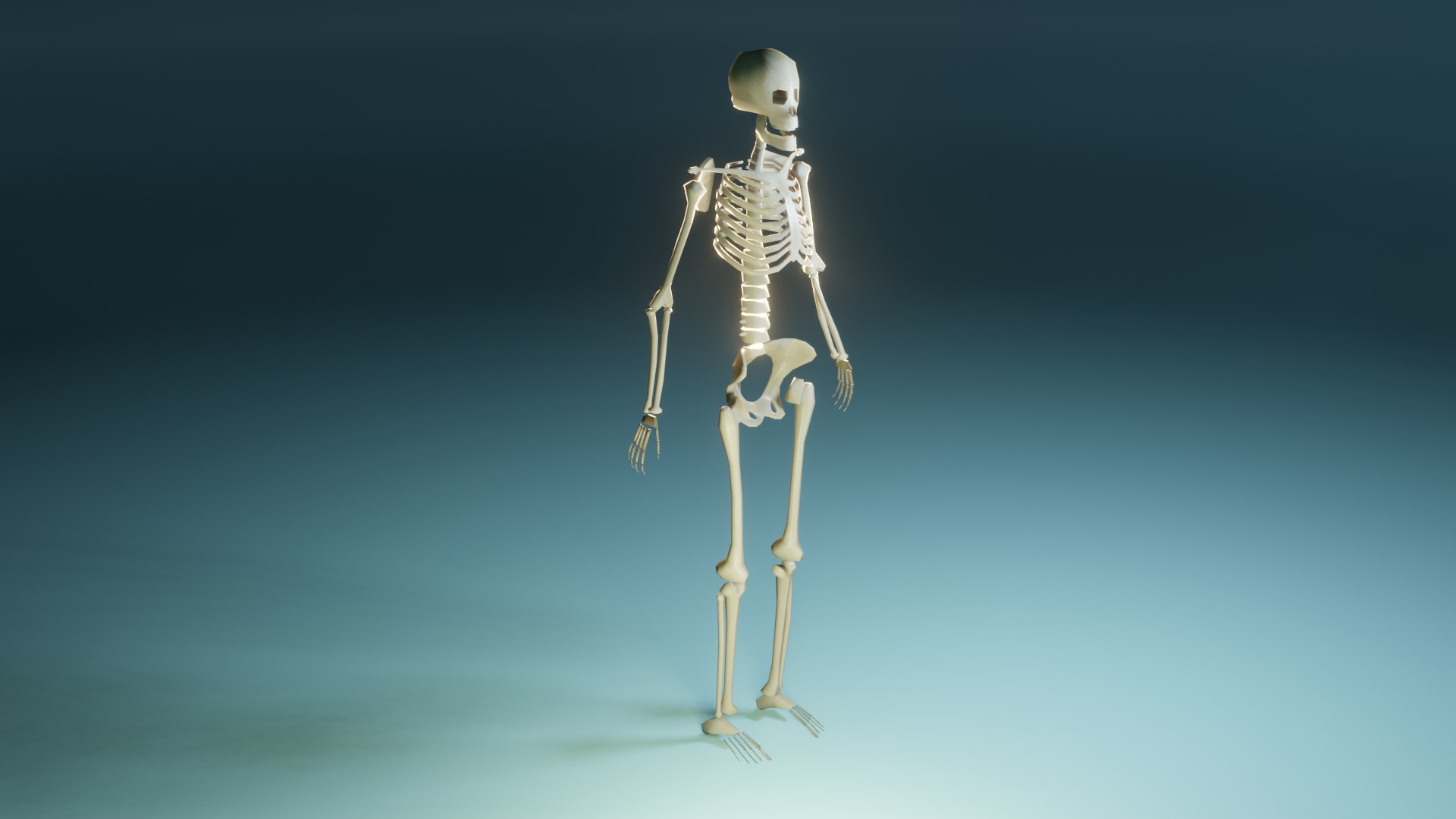 Skeleton Rigged 3D Model - TurboSquid 1589539