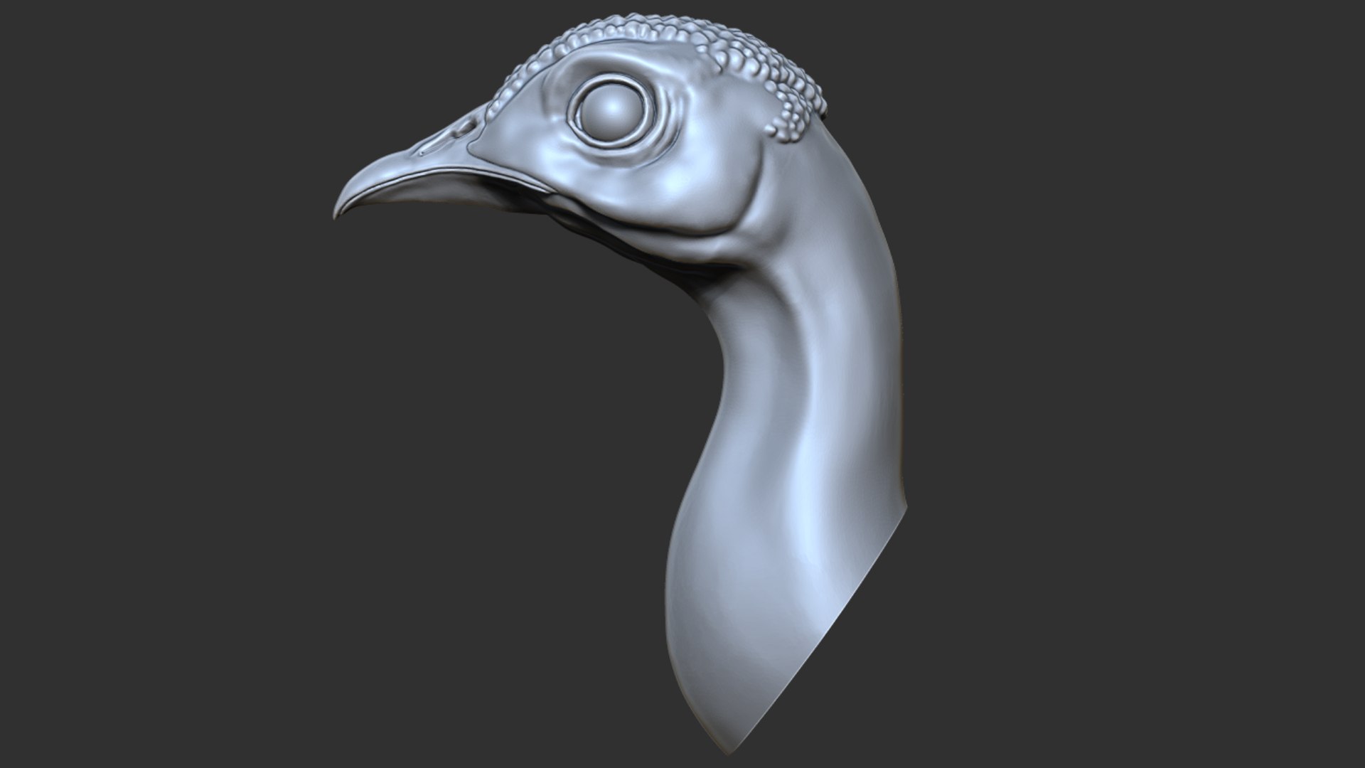 Peacock 3D Model - TurboSquid 2212841