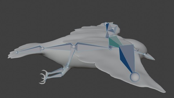 Rigged flying bird 3D model - TurboSquid 1685005