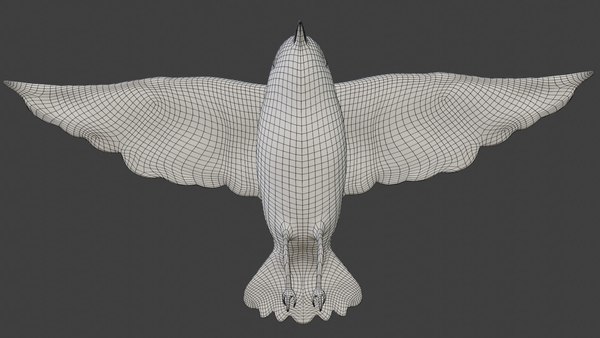 Rigged flying bird 3D model - TurboSquid 1685005