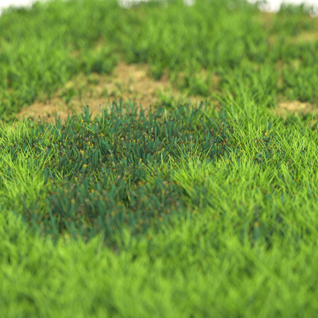 V-ray Model - TurboSquid 1637774