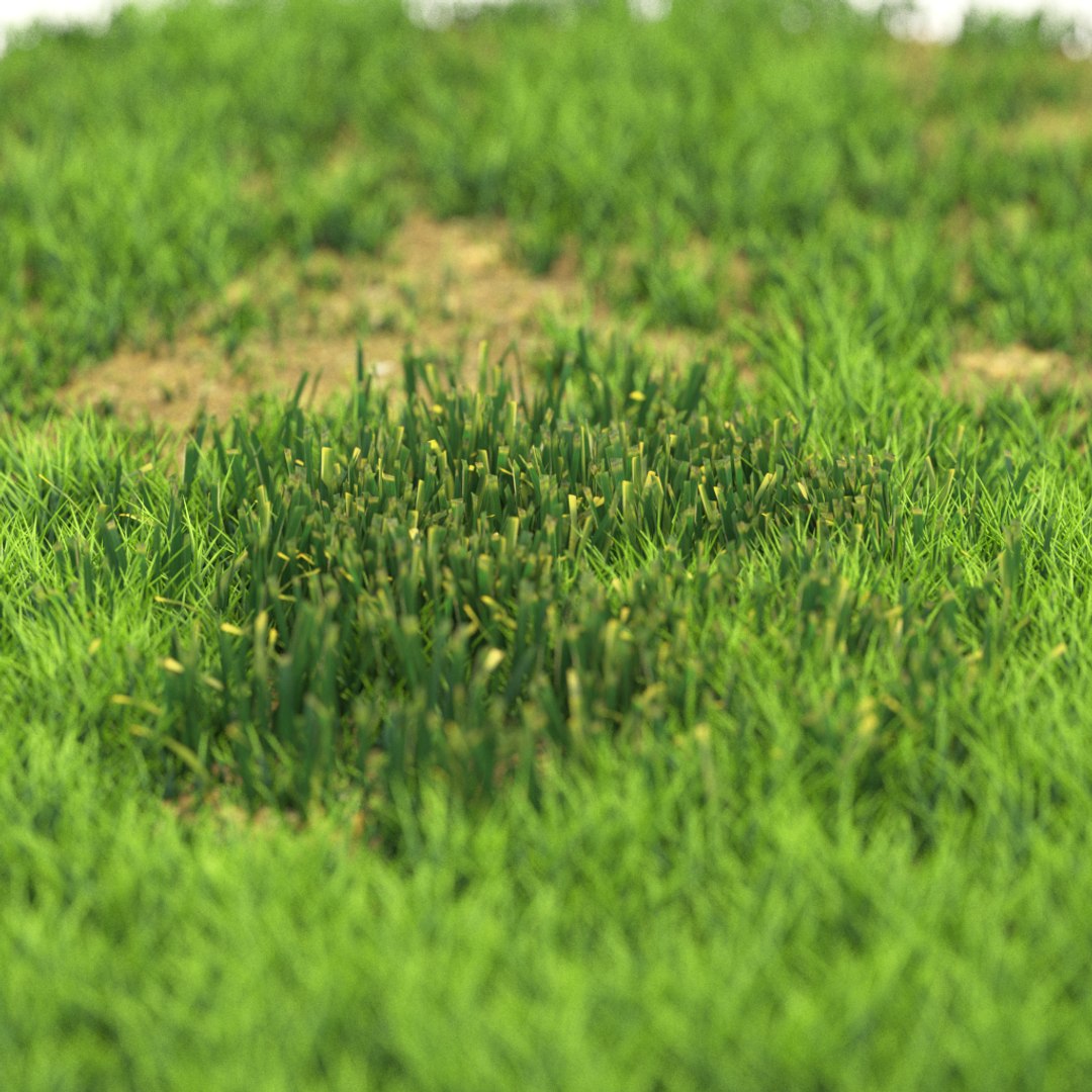 V-ray Model - TurboSquid 1637774