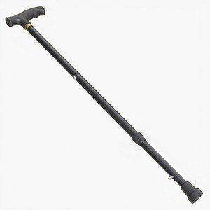 3D Cane Models | TurboSquid