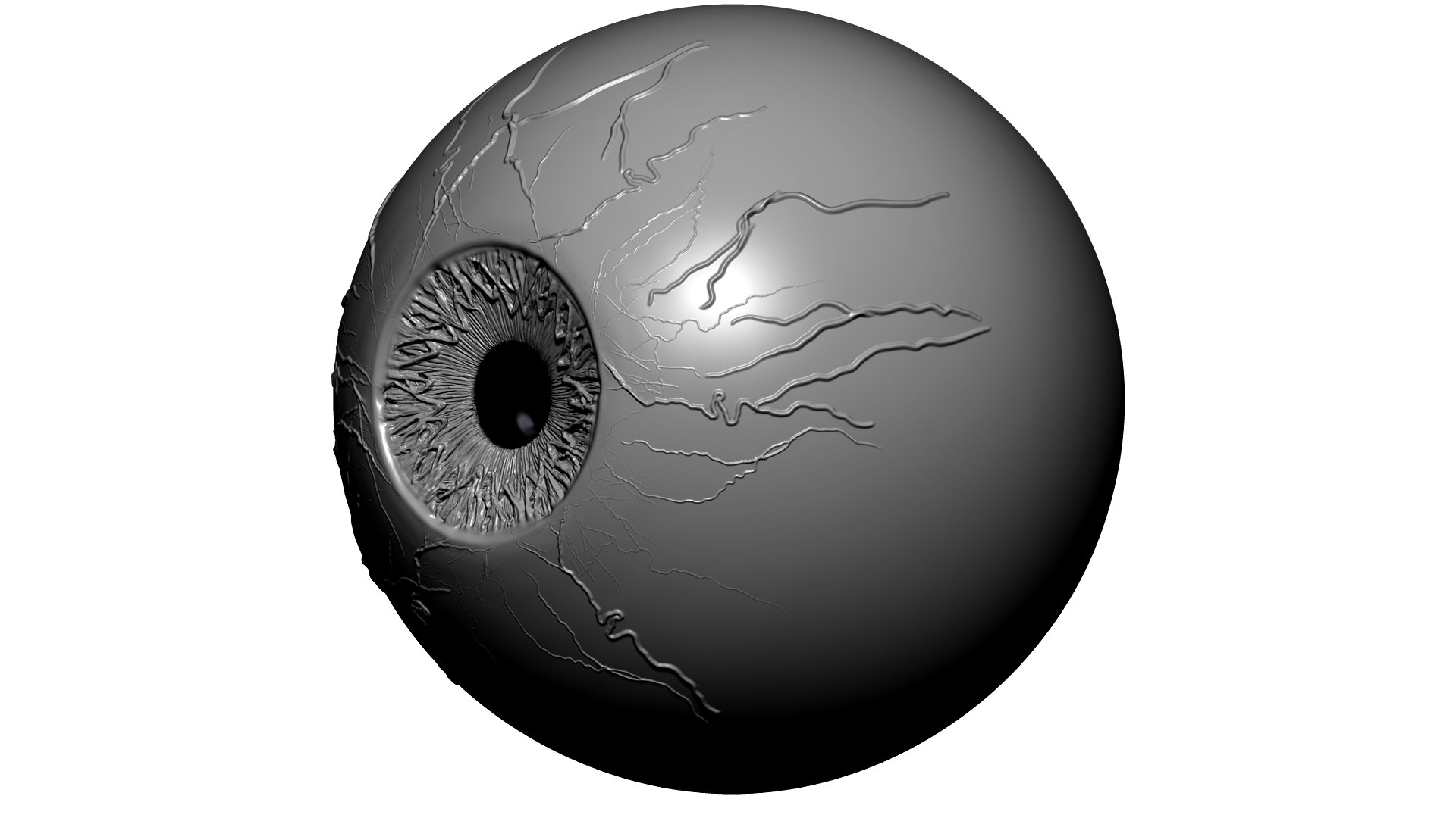 Human Eye 3D Model - TurboSquid 1638100