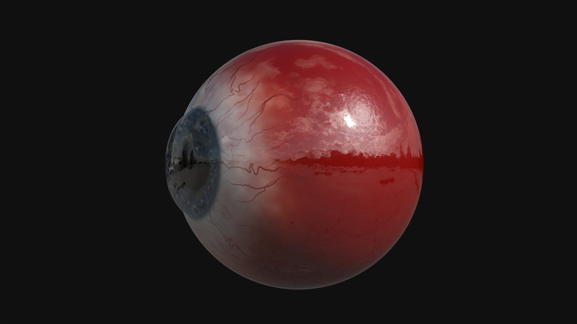 Human Eye 3D Model - TurboSquid 1638100