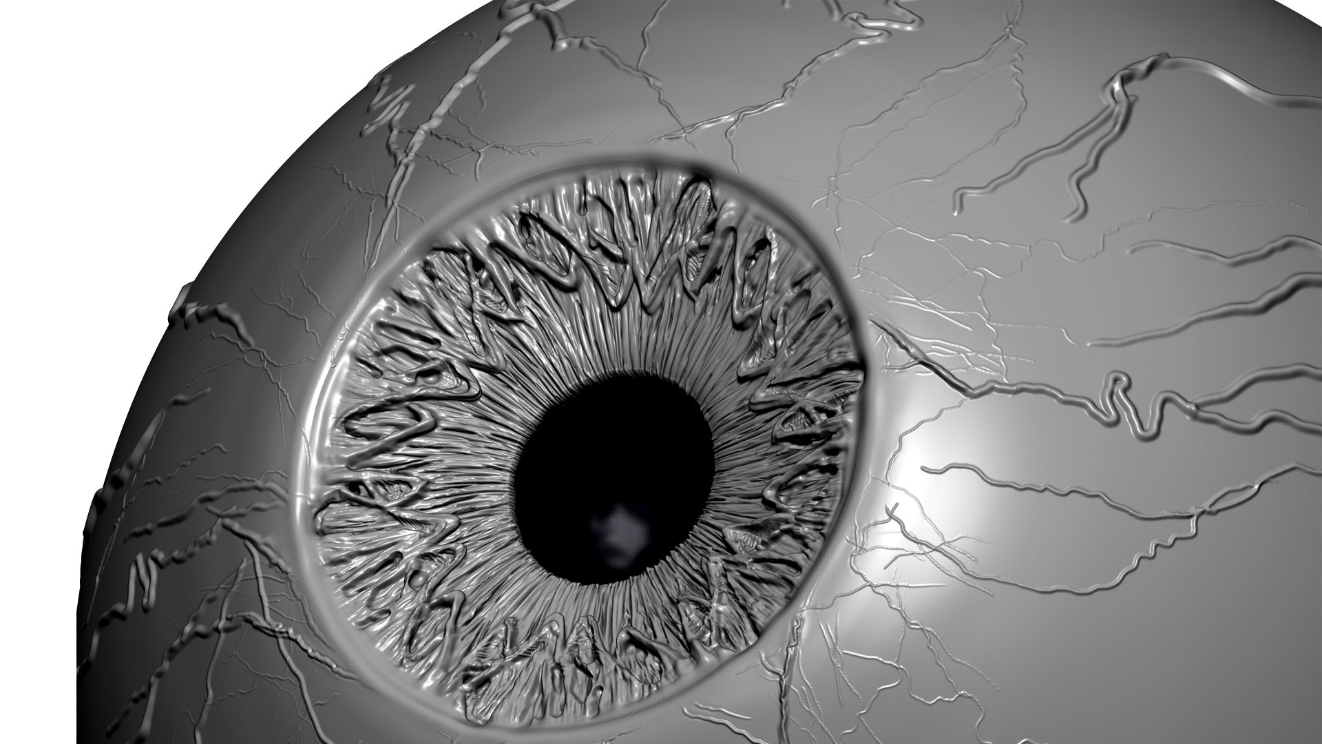 Human Eye 3D Model - TurboSquid 1638100