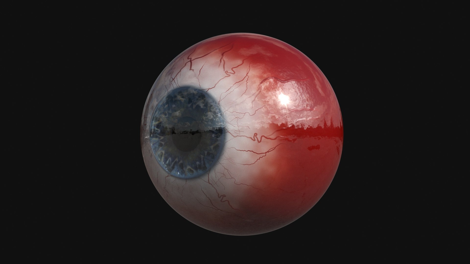 Human Eye 3D Model - TurboSquid 1638100