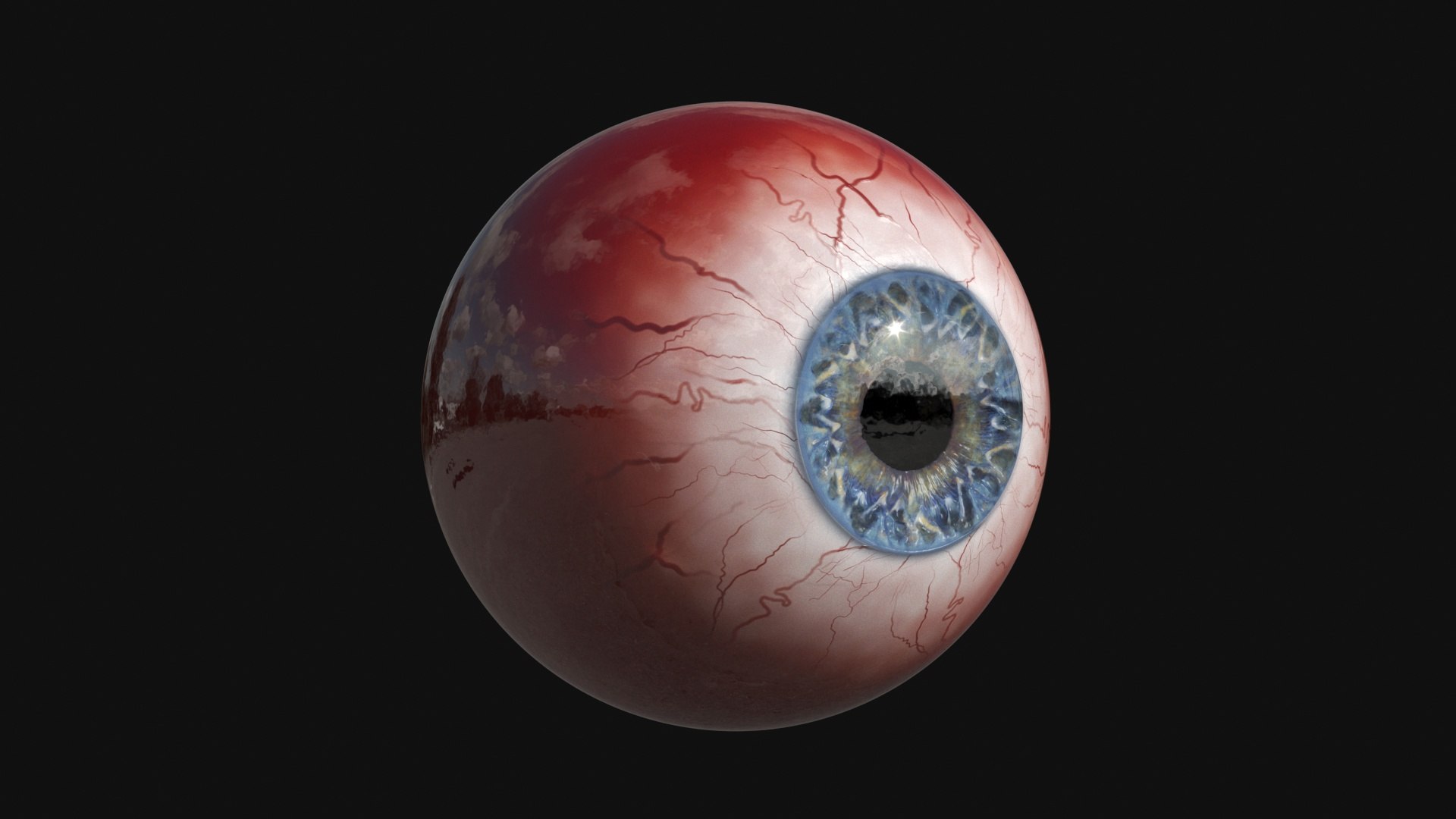 Human Eye 3D Model - TurboSquid 1638100