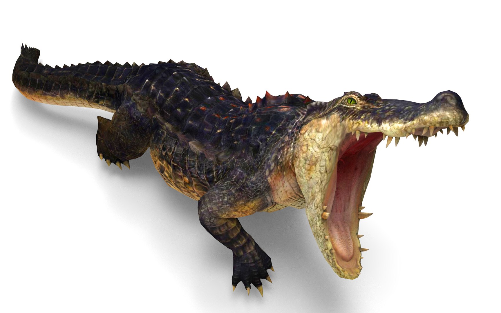 Crocodile 14 Animations 3D 모델 - TurboSquid 1894289