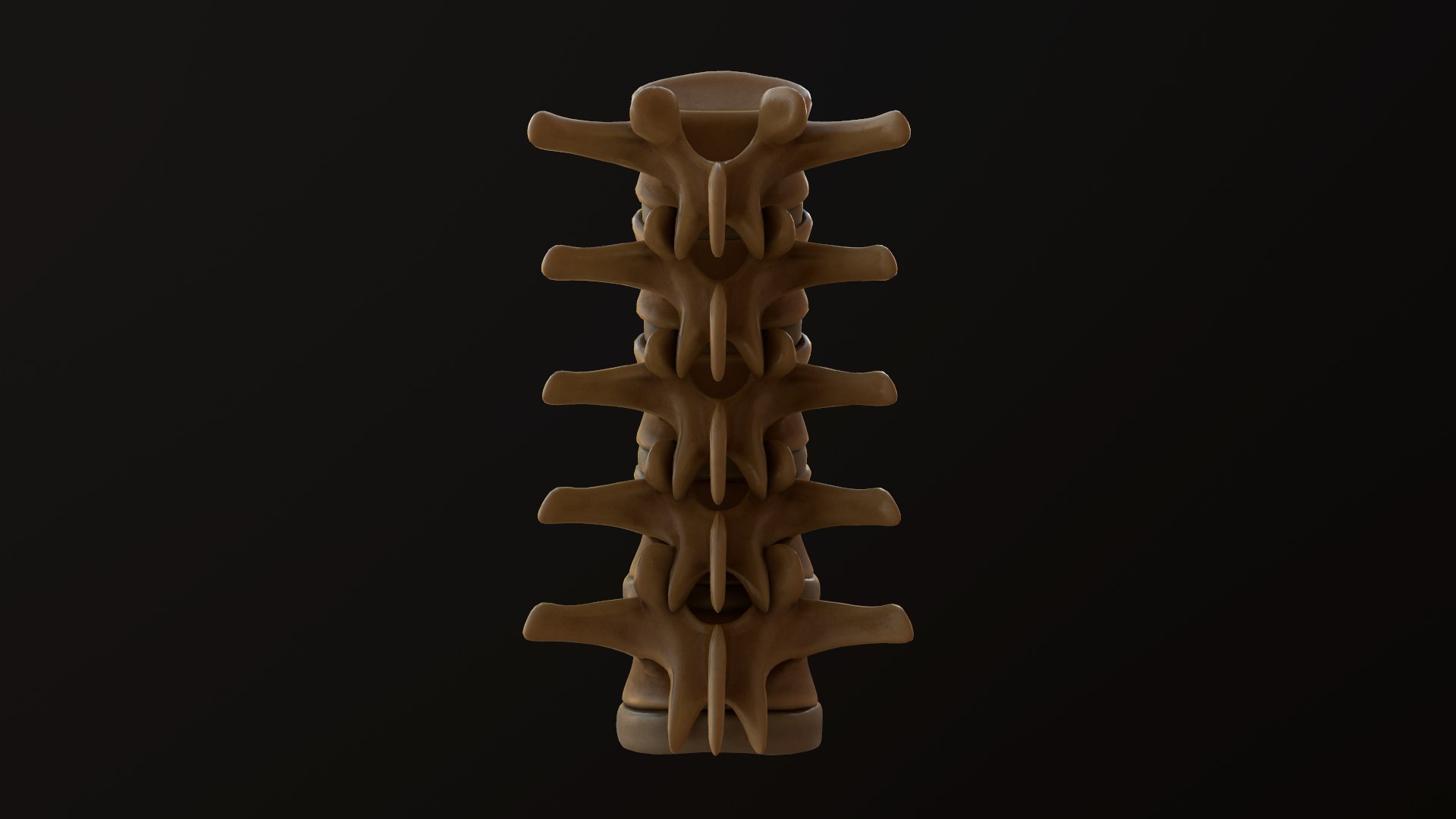 3D Human Lumbar Vertebrae Spine Model - TurboSquid 1380988