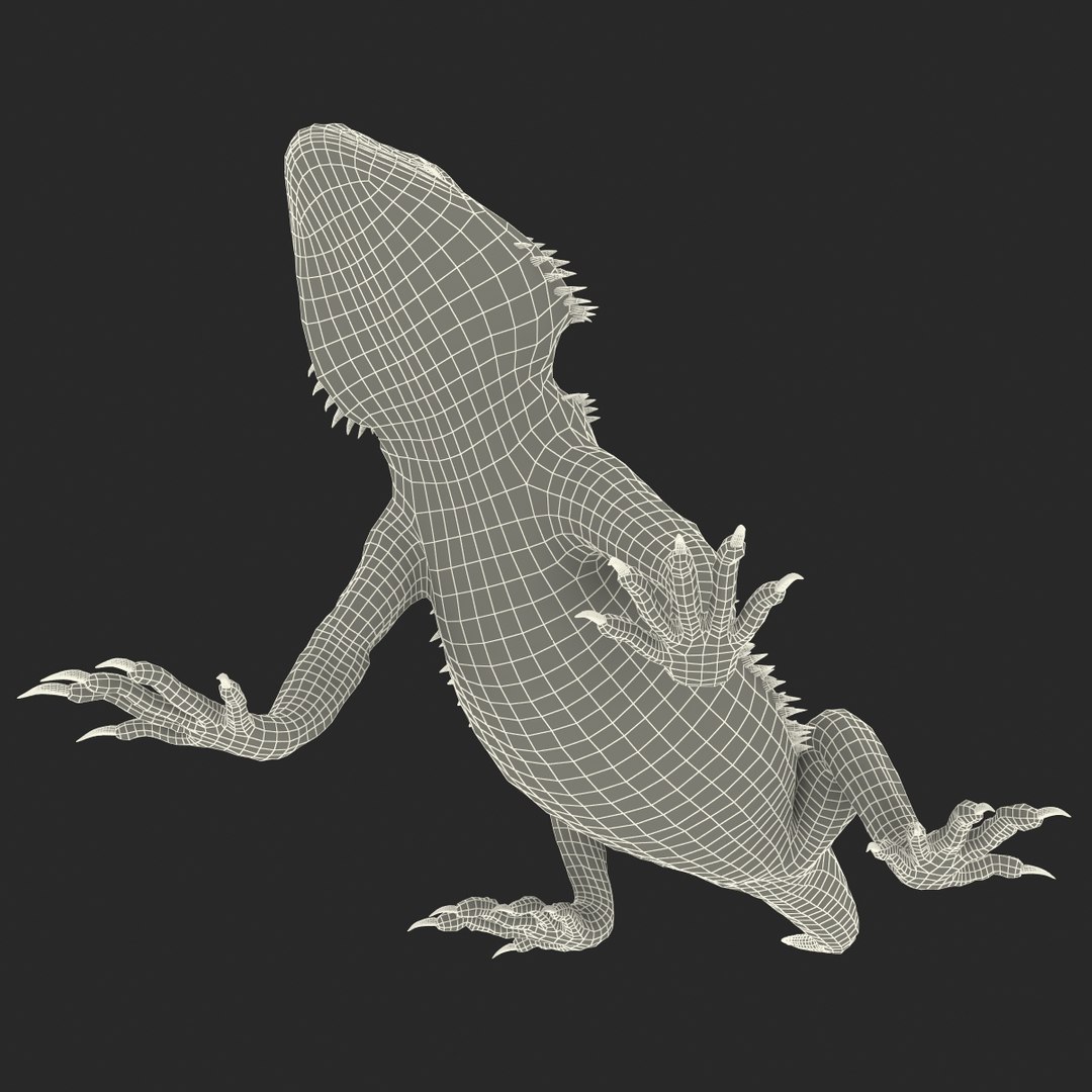 obj bearded dragon pose 2