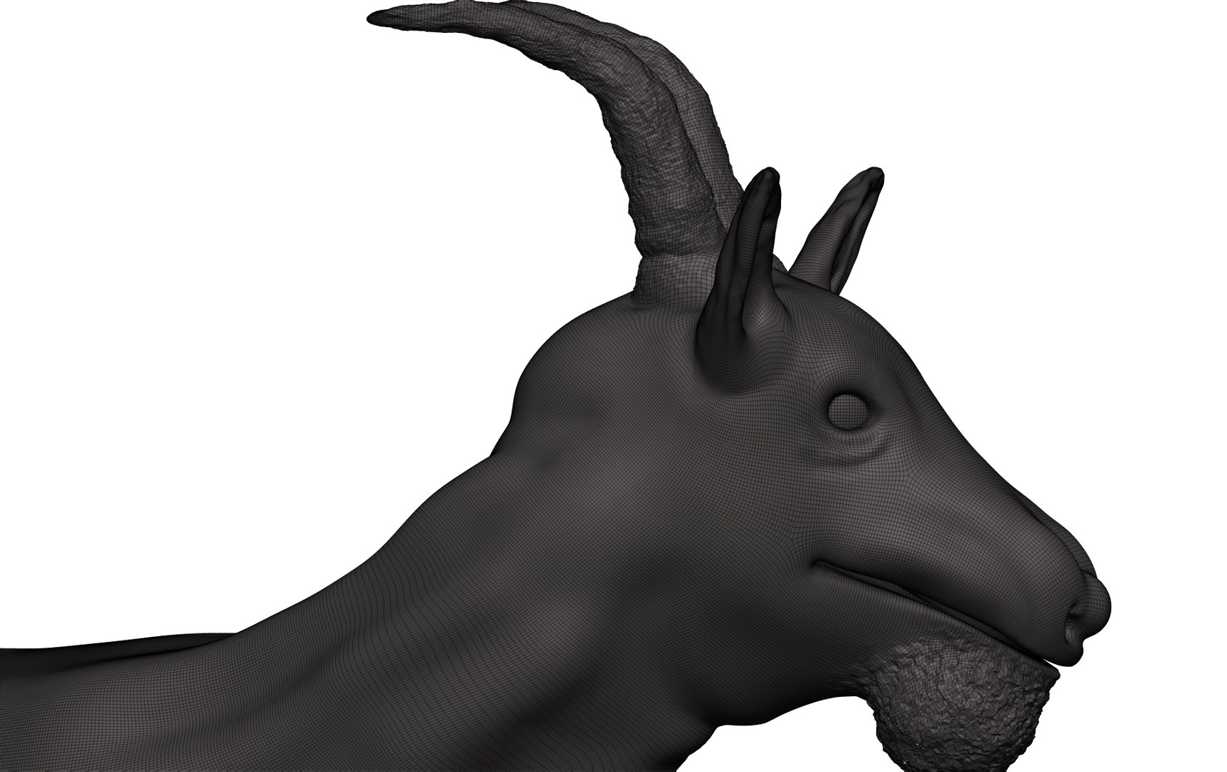 Goat 3D Model - TurboSquid 1850338