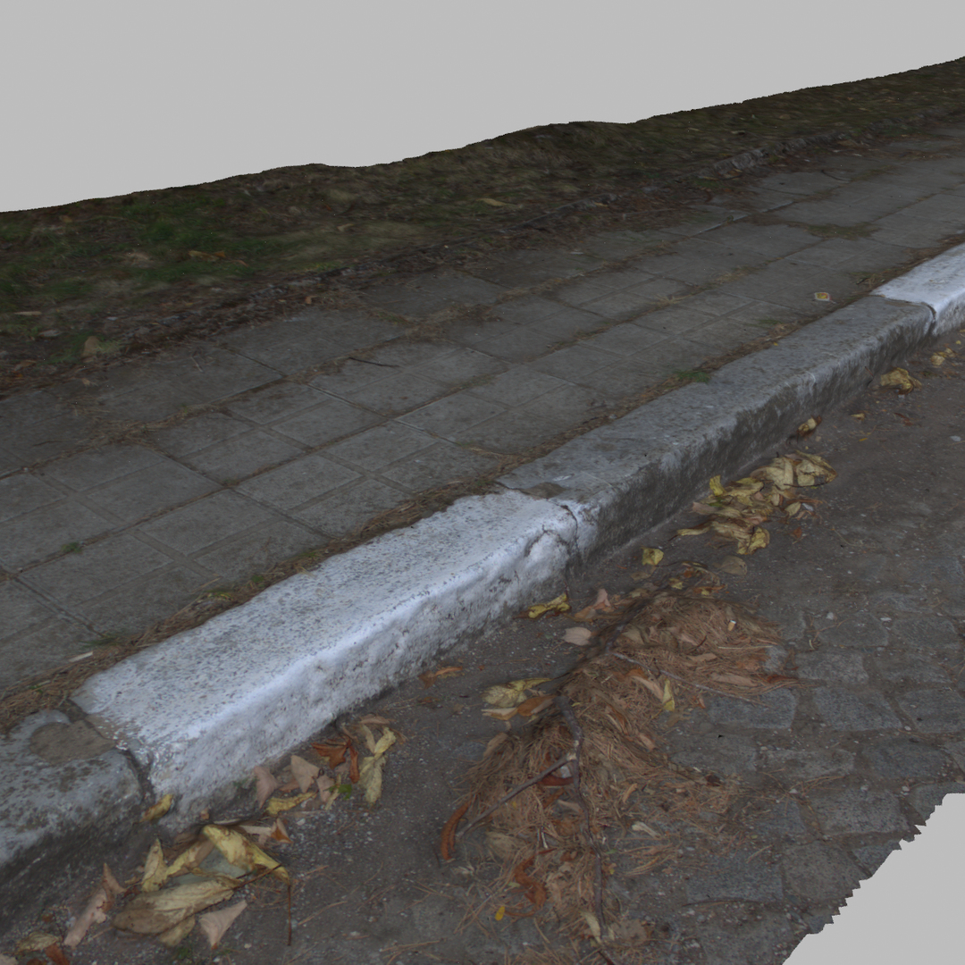 3d Curb 4 -autumn