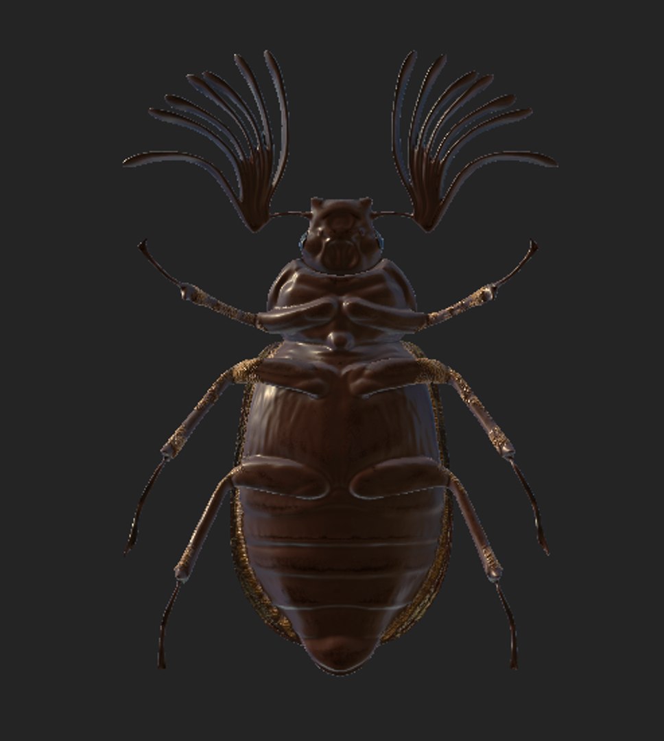 3D model high-quality beard beetle - TurboSquid 1284365