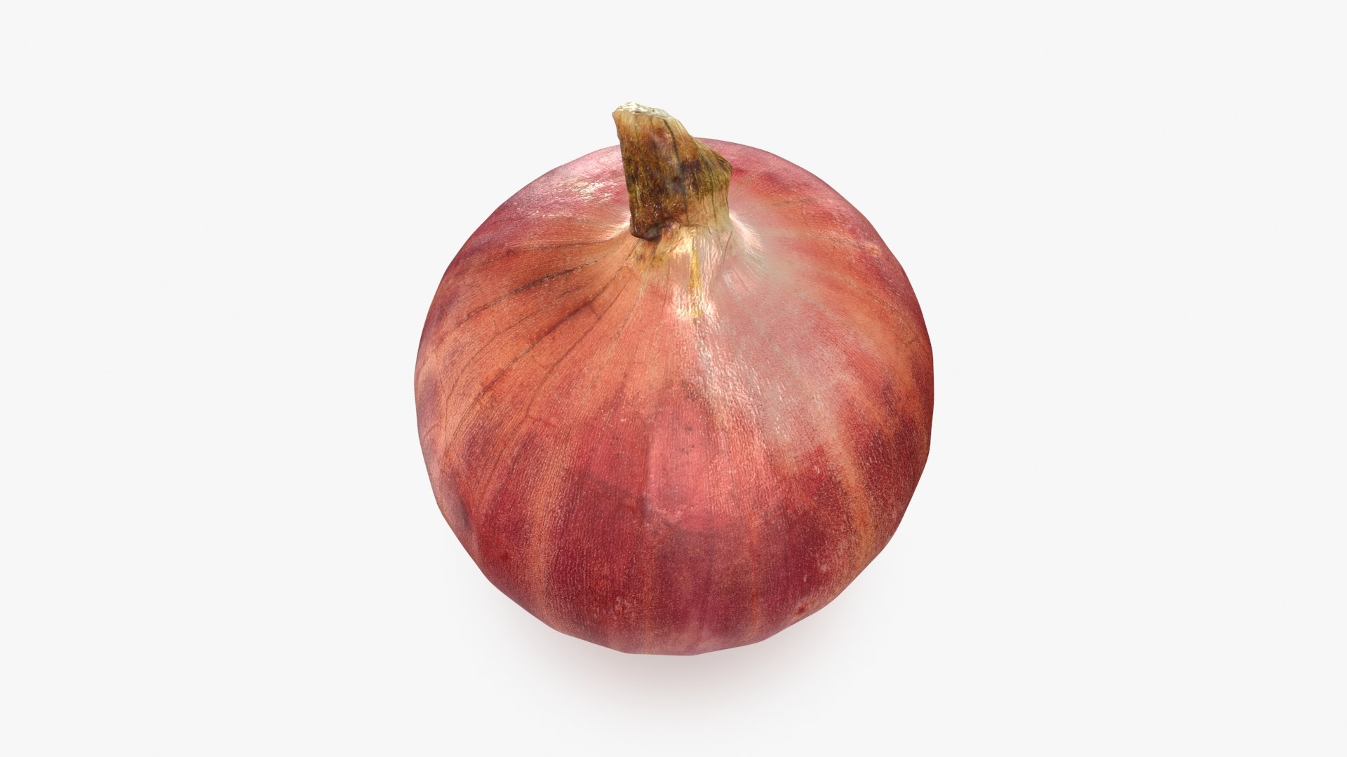 3D Shallot 02 - TurboSquid 2208787