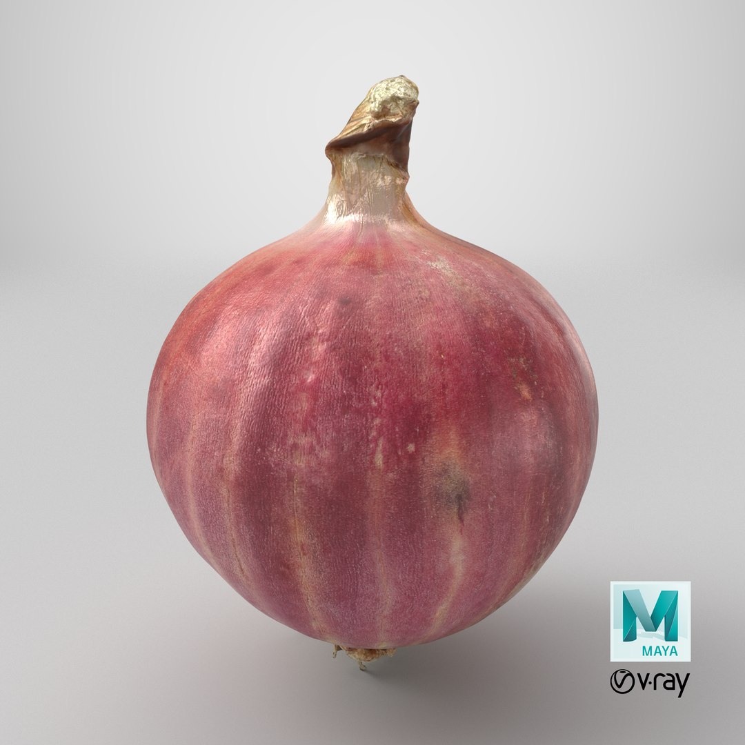 3D Shallot 02 - TurboSquid 2208787